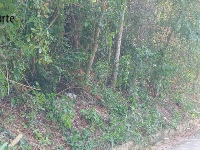 Terreno Lote Balneário Lagoa dos Mares