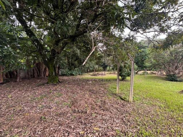 Terreno Lote em Condomínio Vale do Ouro, Ribeirão das Neves/MG