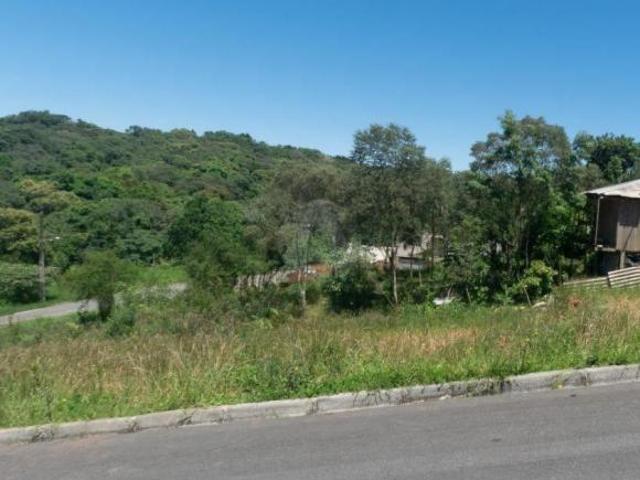 Terreno Lote em Conjunto Habitacional Monsenhor Francisco Gorski, Campo Largo/PR