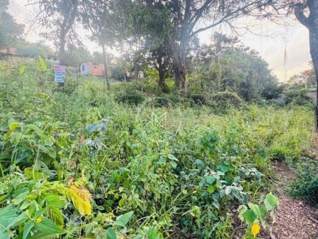 Terreno Lote em Farofa, São Joaquim de Bicas/MG