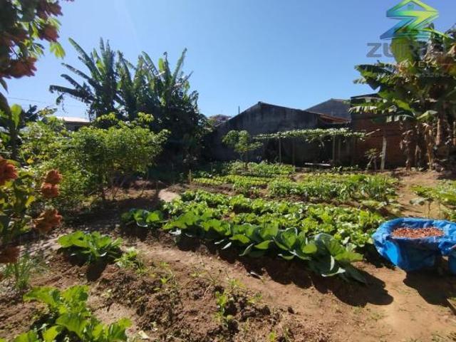 Terreno Lote em Praia das Palmeiras, Caraguatatuba/SP