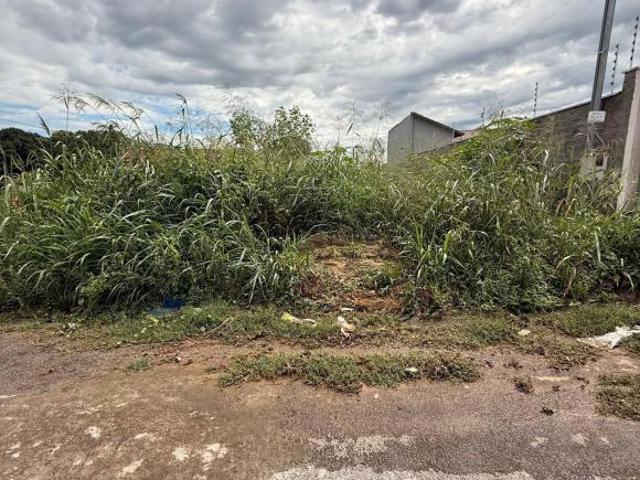 Terreno Lote em Residencial Parque das Palmeiras III, Goianésia/GO
