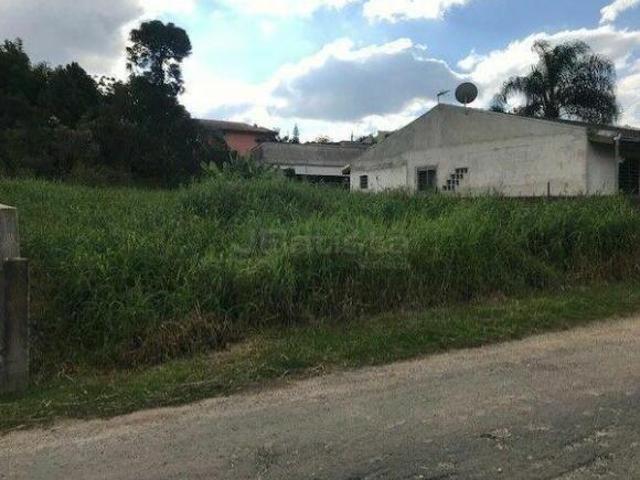Terreno Lote na Vila Solene em Campo Largo