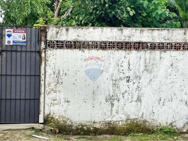 Terreno / Lote para Venda em Tamandaré/PE Centro