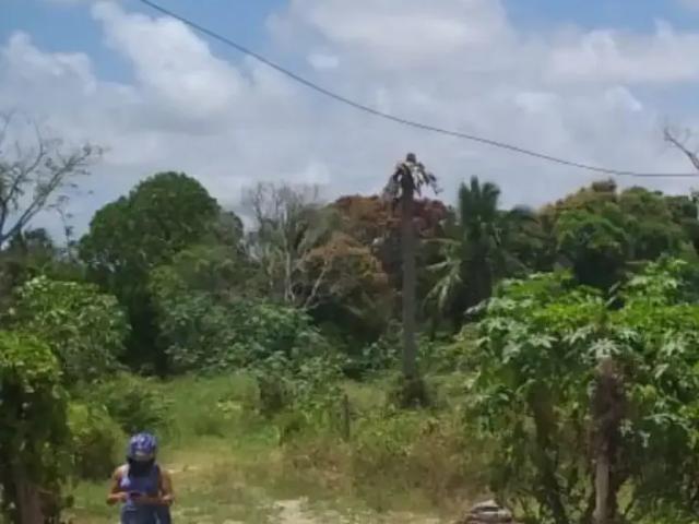 Terreno / Lote para Venda em Tamandaré/PE Centro