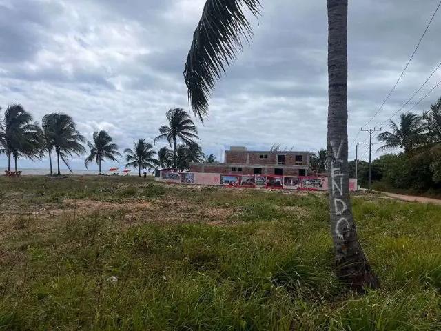 Terreno / Lote para Venda em Tamandaré/PE Praia de Tamandaré