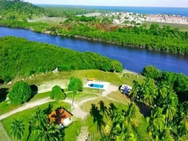 Terreno / Lote para Venda em Tamandaré/PE Praia Dos Carneiros