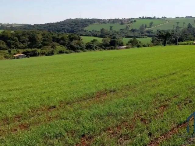 Terreno / Lote para Venda em Tamarana/PR Centro