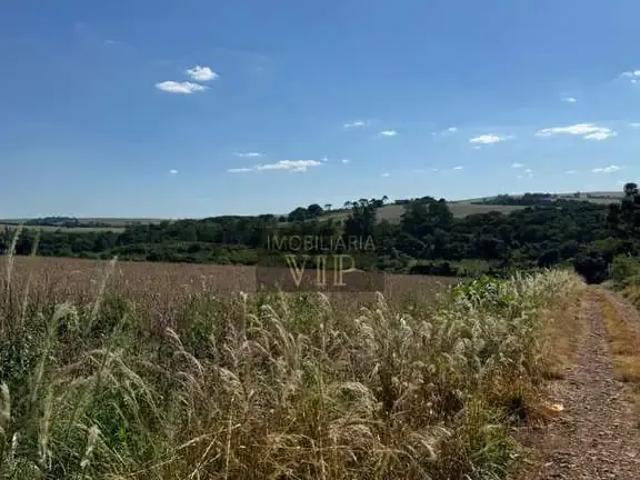 Terreno / Lote para Venda em Tamarana/PR Centro 3 Quartos