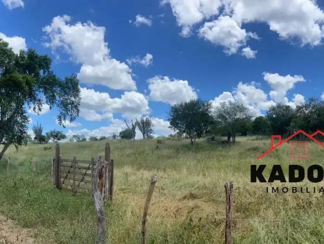 Terreno / Lote para Venda em Tanquinho/BA Centro