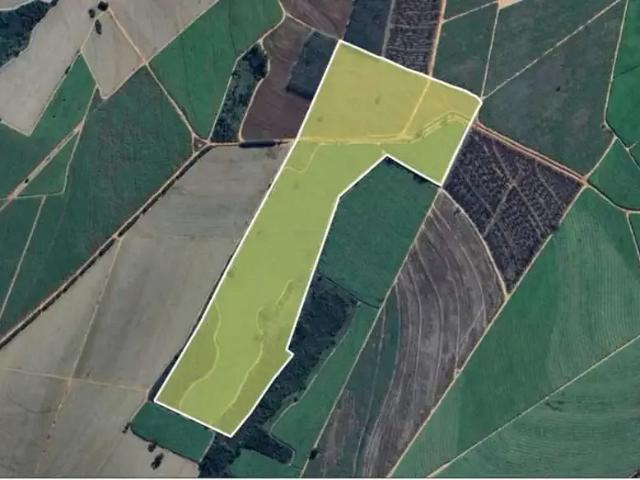 Terreno / Lote para Venda em Tabapuã/SP Centro