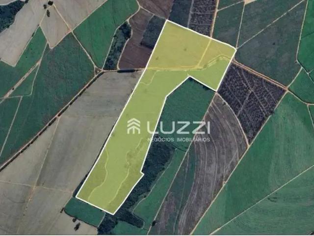 Terreno / Lote para Venda em Tabapuã/SP Centro