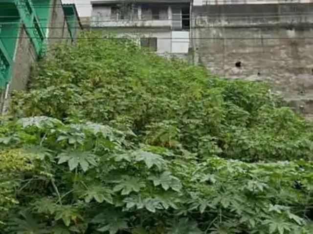Terreno / Lote para Venda em Taboão da Serra/SP Jardim Maria Rosa