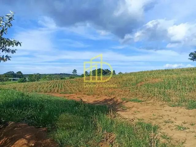 Terreno / Lote para Venda em Tatuí/SP Área Rural de Tatuí
