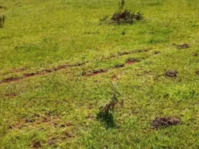 Terreno / Lote para Venda em Tatuí/SP Área Rural de Tatuí