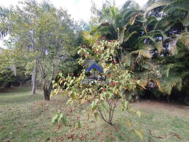 Terreno / Lote para Venda em Taubaté/SP Cataguá