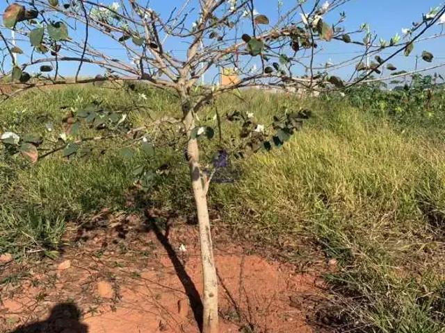Terreno / Lote para Venda em Taubaté/SP Cataguá