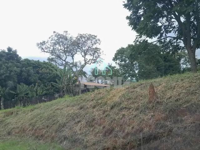Terreno / Lote para Venda em Taubaté/SP Campos Elíseos