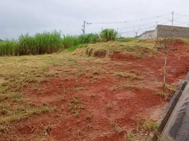 Terreno / Lote para Venda em Taubaté/SP Centro