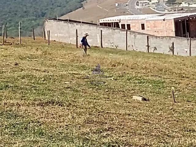 Terreno / Lote para Venda em Taubaté/SP Chácara Fonte Imaculada Conceição