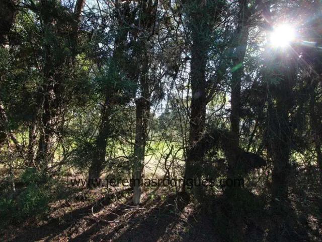 Terreno / Lote para Venda em Taubaté/SP Chácaras Cataguá