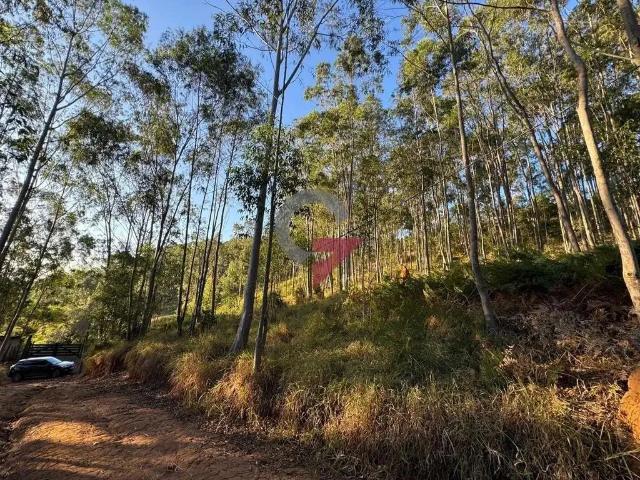 Terreno / Lote para Venda em Taubaté/SP Barreiro