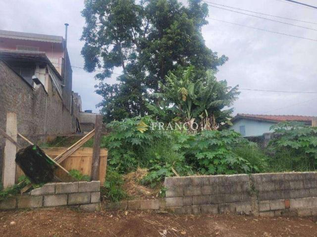 Terreno / Lote para Venda em Taubaté/SP Jardim América
