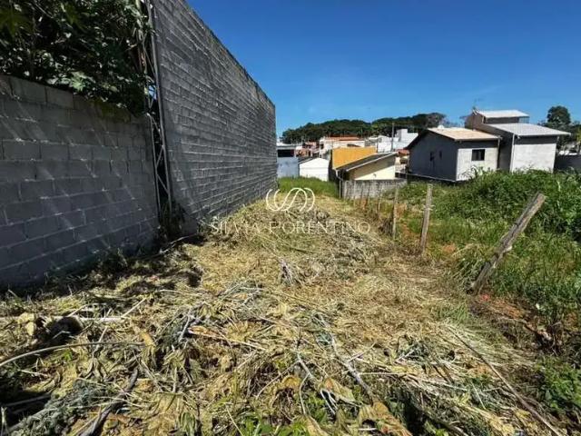Terreno / Lote para Venda em Taubaté/SP Jardim Continental II