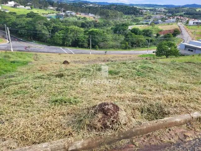 Terreno / Lote para Venda em Taubaté/SP Jardim Julieta