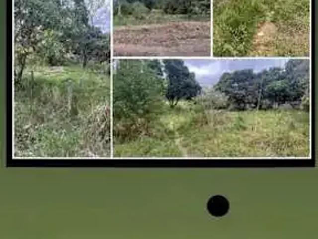 Terreno / Lote para Venda em Taubaté/SP Loteamento Chácaras Ingrid