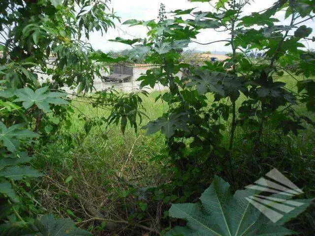 Terreno / Lote para Venda em Taubaté/SP Loteamento Quinta das Frutas