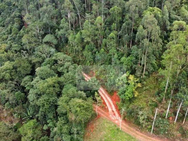 Terreno / Lote para Venda em Taubaté/SP Monte Belo