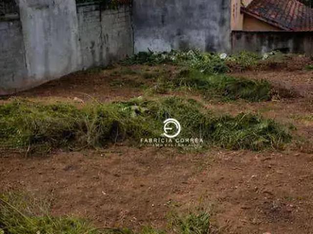 Terreno / Lote para Venda em Taubaté/SP Residencial Estoril