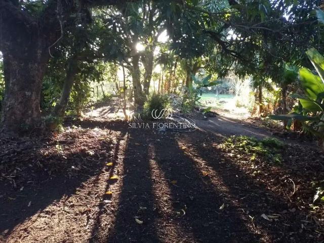 Terreno / Lote para Venda em Taubaté/SP Vila Nossa Senhora das Graças