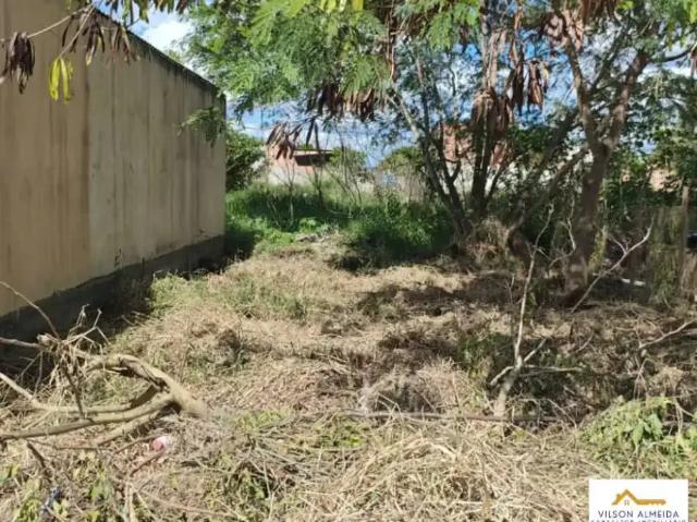 Terreno / Lote para Venda em Teixeira de Freitas/BA São José