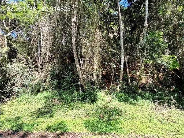 Terreno / Lote para Venda em Teresópolis/RJ Albuquerque