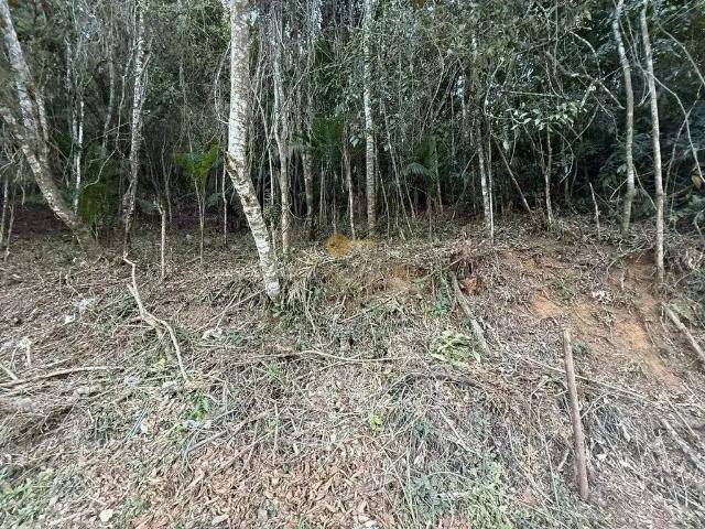 Terreno / Lote para Venda em Teresópolis/RJ Albuquerque