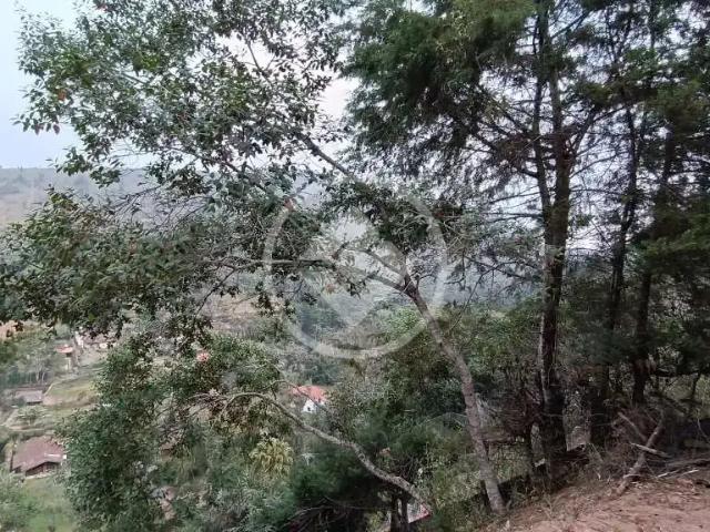 Terreno / Lote para Venda em Teresópolis/RJ Albuquerque