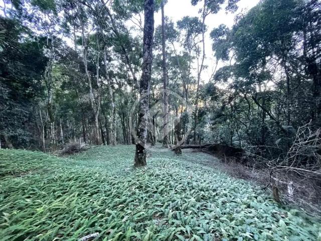 Terreno / Lote para Venda em Teresópolis/RJ Alto