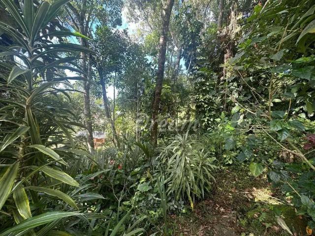 Terreno / Lote para Venda em Teresópolis/RJ Alto