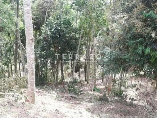 Terreno / Lote para Venda em Teresópolis/RJ Barra do Imbuí