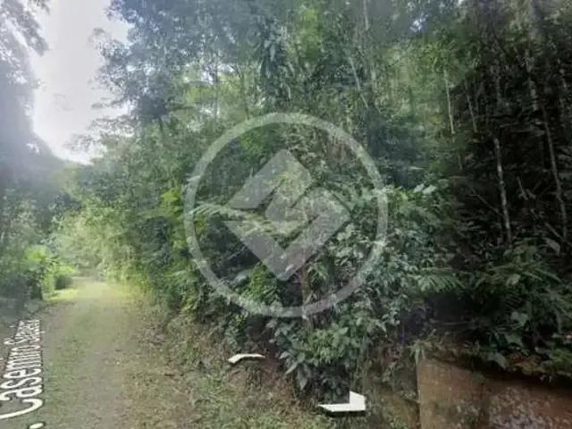 Terreno / Lote para Venda em Teresópolis/RJ Carlos Guinle