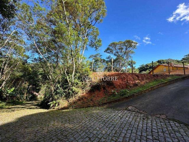 Terreno / Lote para Venda em Teresópolis/RJ Carlos Guinle
