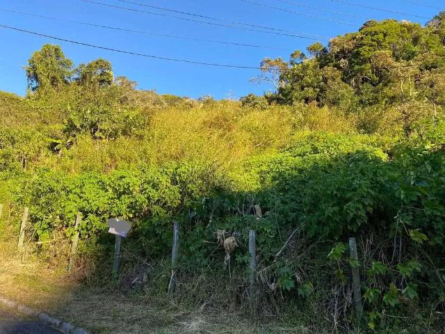 Terreno / Lote para Venda em Teresópolis/RJ Carlos Guinle