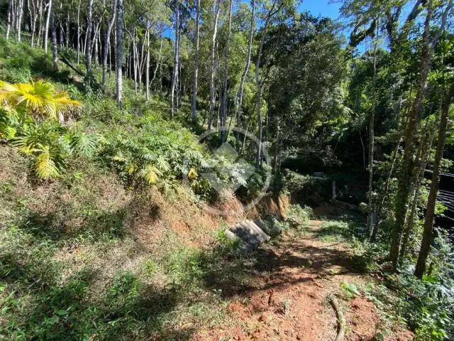 Terreno / Lote para Venda em Teresópolis/RJ Carlos Guinle