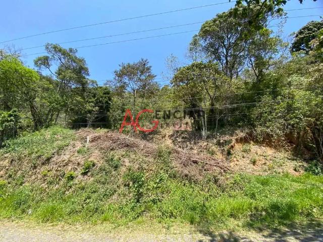 Terreno / Lote para Venda em Teresópolis/RJ Carlos Guinle