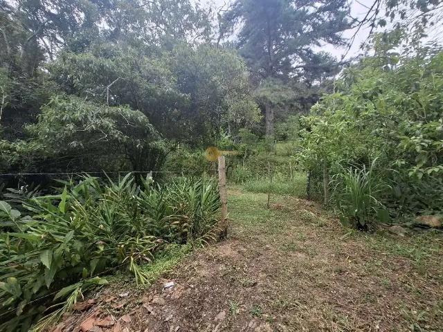 Terreno / Lote para Venda em Teresópolis/RJ Córrego das Pedras