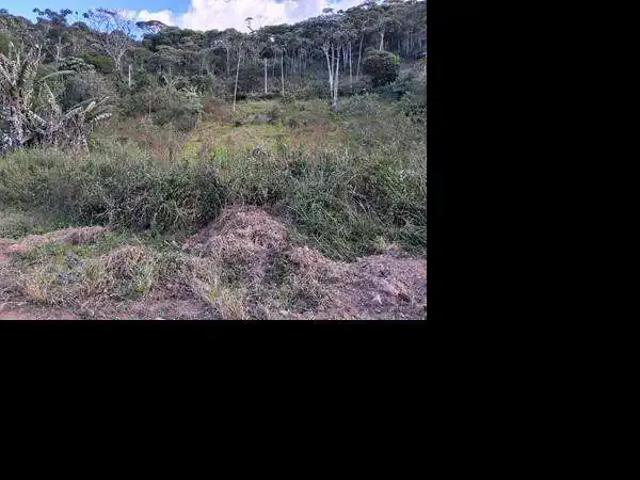Terreno / Lote para Venda em Teresópolis/RJ Fazenda Alpina
