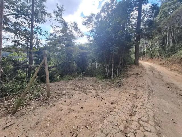 Terreno / Lote para Venda em Teresópolis/RJ Fazenda Suiça