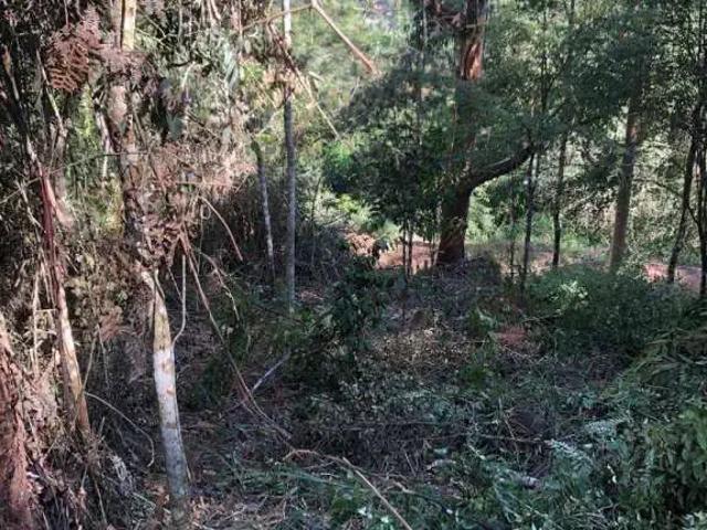 Terreno / Lote para Venda em Teresópolis/RJ Fazenda Suiça